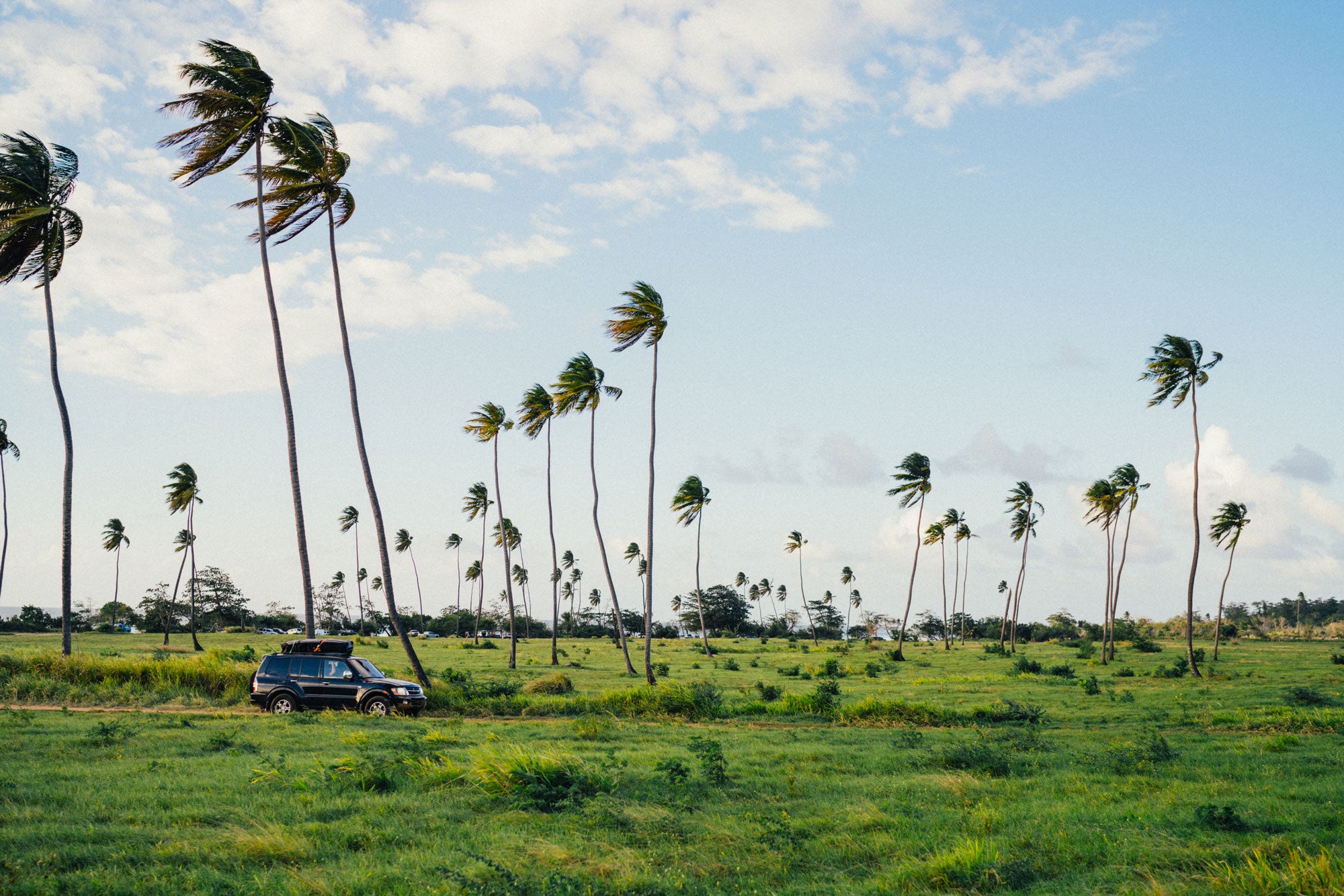 S23 Lookbook - Puerto Rico – Marsh Wear Clothing